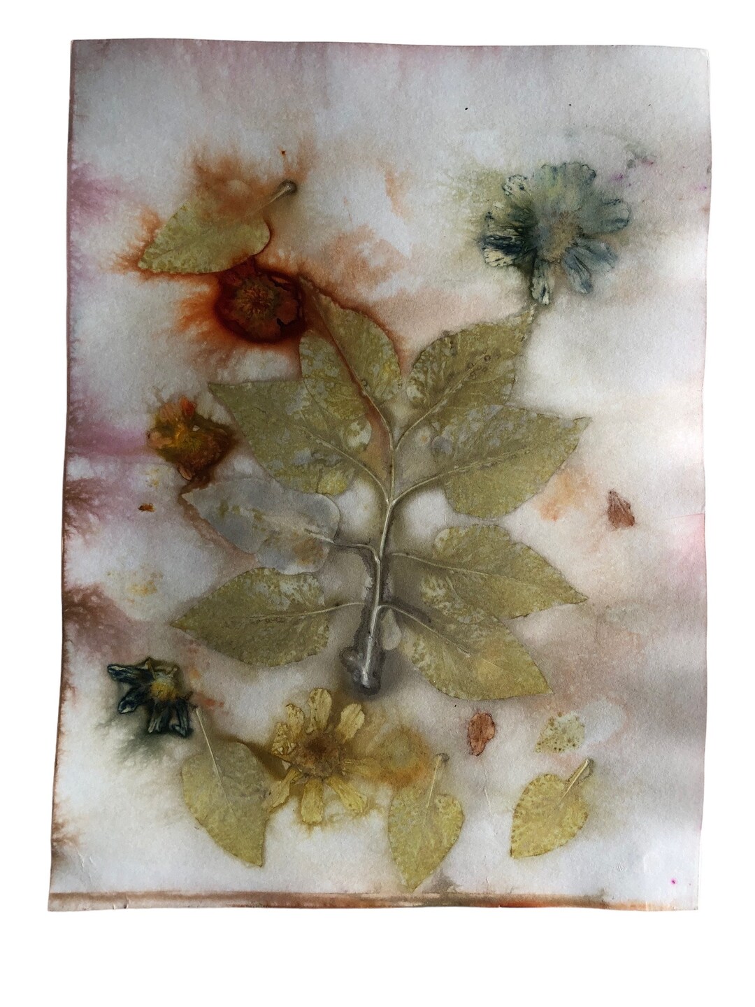 Paper Printed and Dyed Using Plants Eco Prints 8 Sheets for Junk ...
