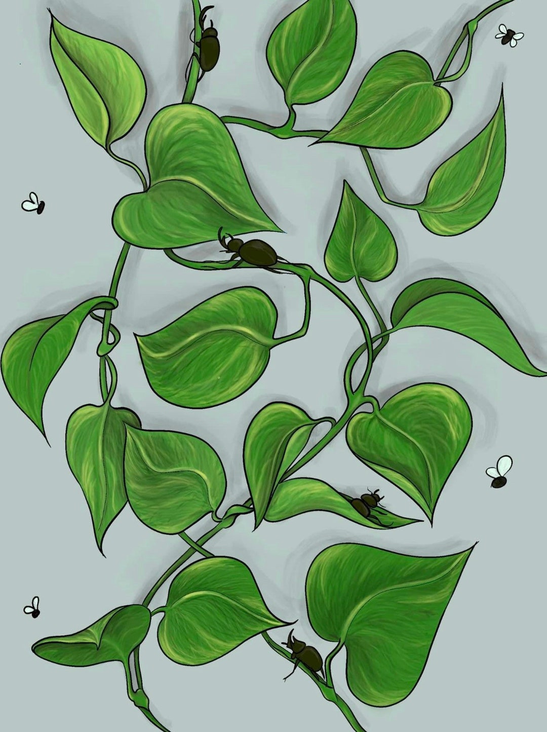 Original Art - Pothos Plant and Bugs - Etsy