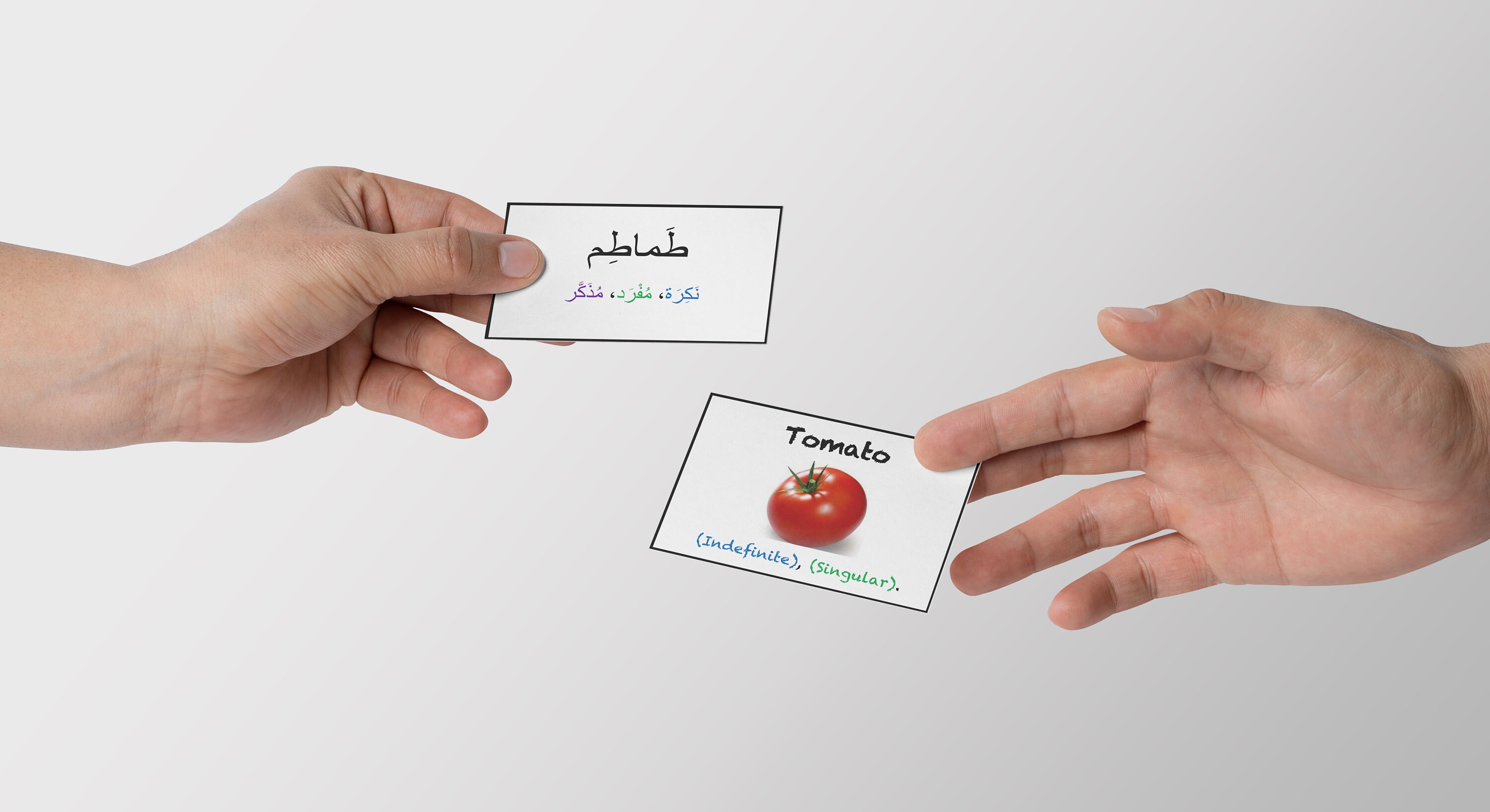 Food Flashcards English–arabic – Vegetables Vocabulary, Digital ...