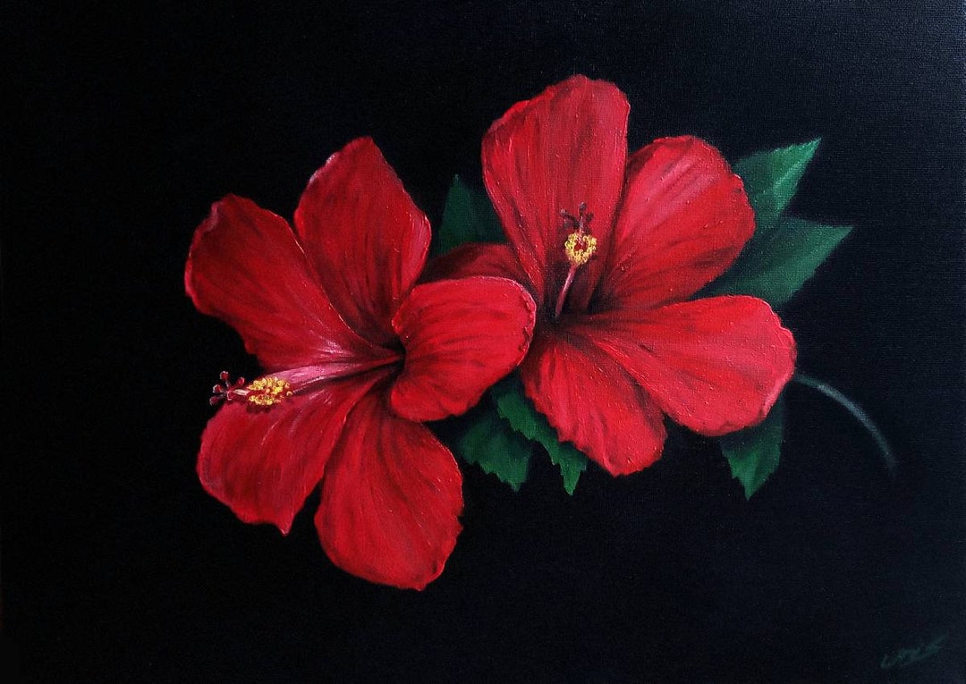 Two Red Hibiscus Flowers - Limited Edition Canvas Print - Etsy