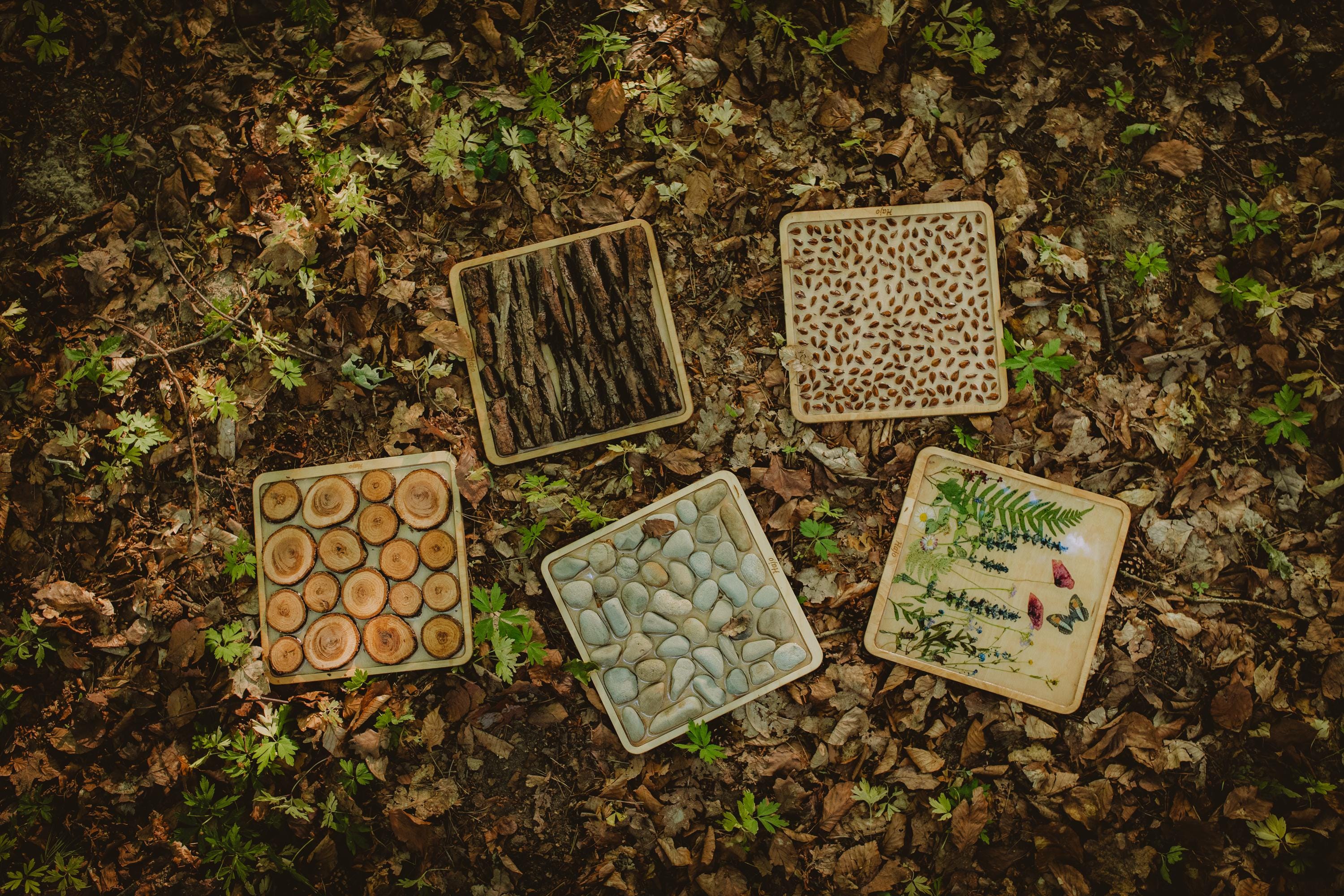 Natural Forest Sensory Trail & Obstacle Course for Kids - Etsy
