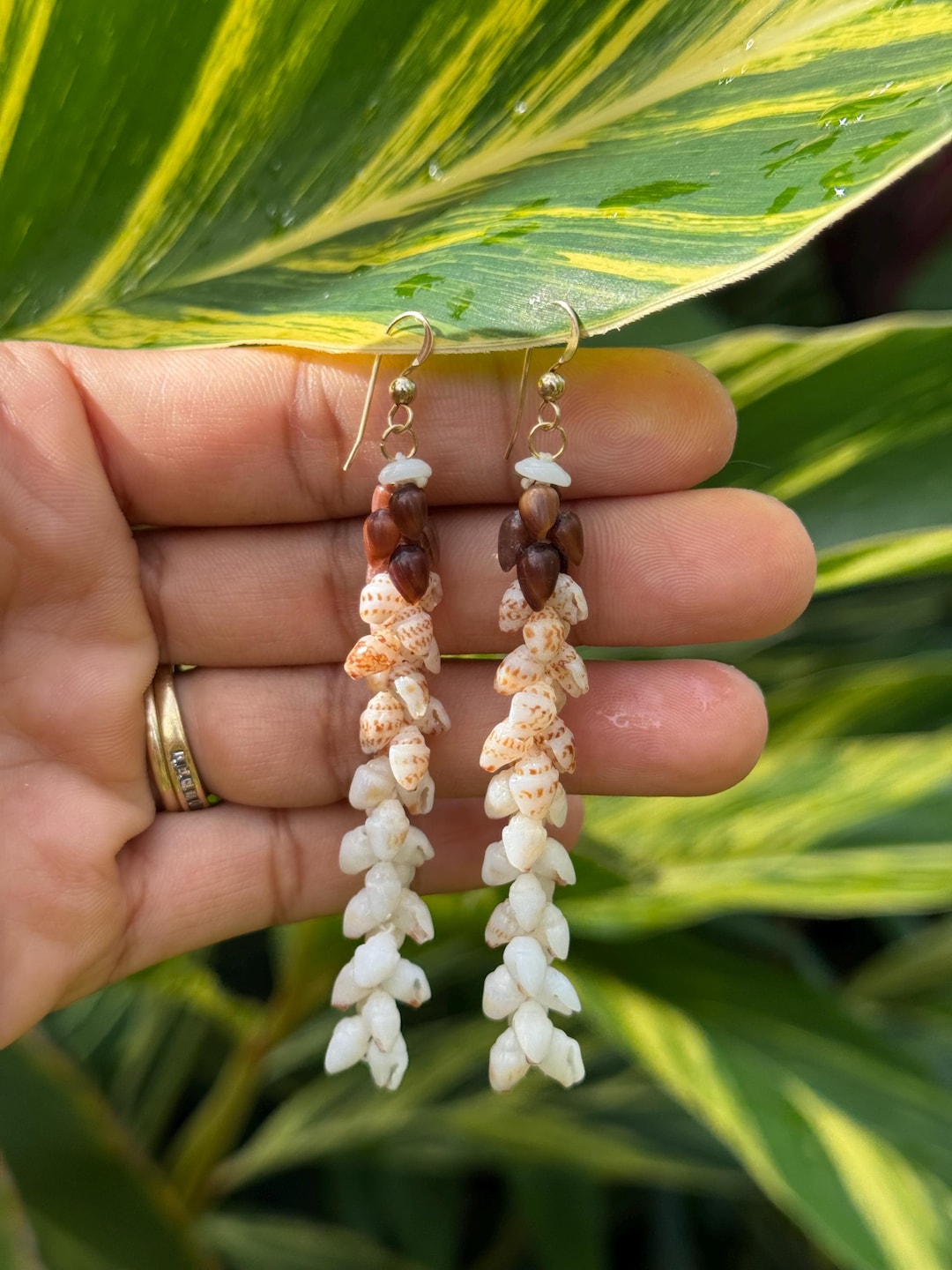 Niihau Style Earrings / Momi & Pōleho Shell Earrings / Hawaiian ...