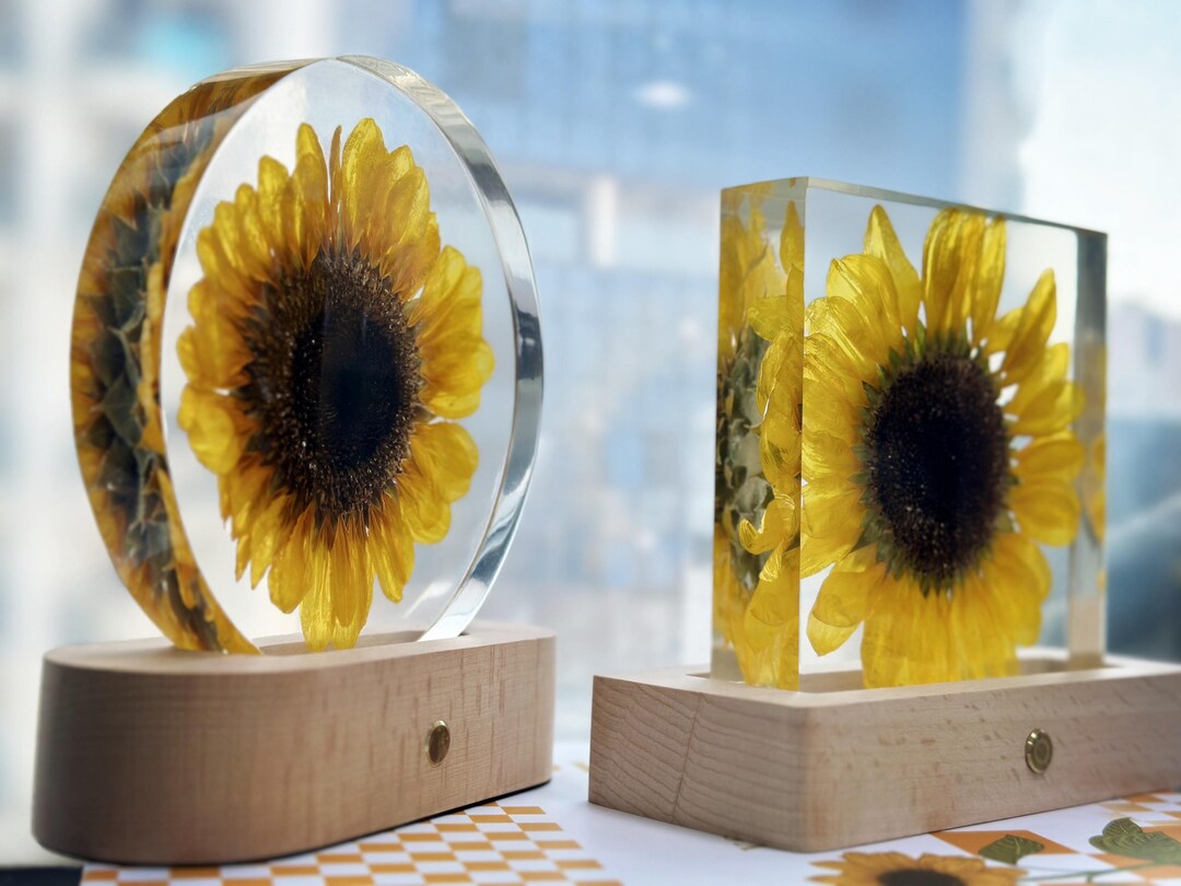 Real Sunflower Resin Block, Sunflower Night Light, Sunflower Ornament ...