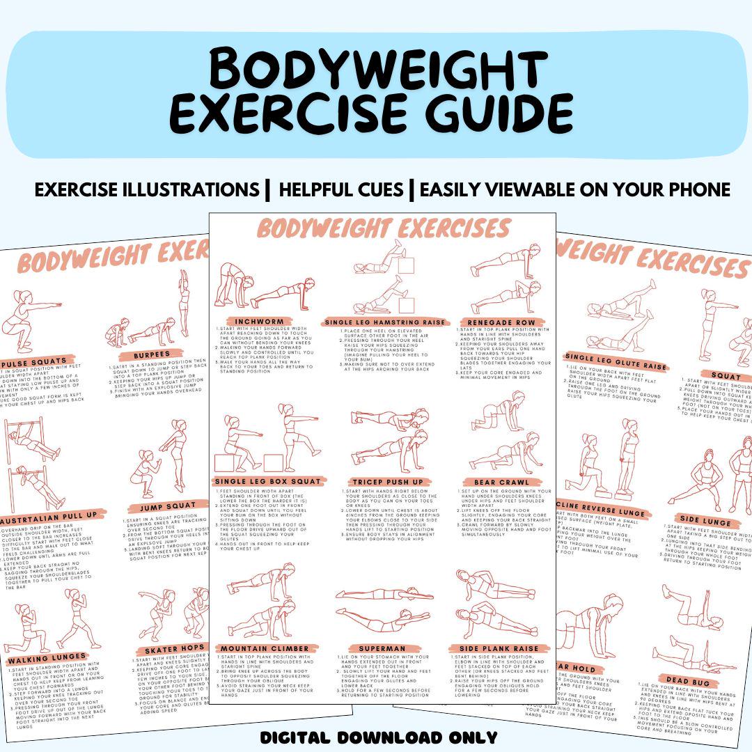 Full Body Workouts Bodyweight Only, Home Workout Planner, Printable ...