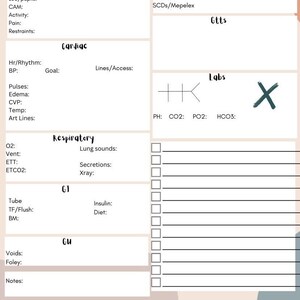 ICU (intensive Care) Report Sheet (brain) for the Critical Care ...