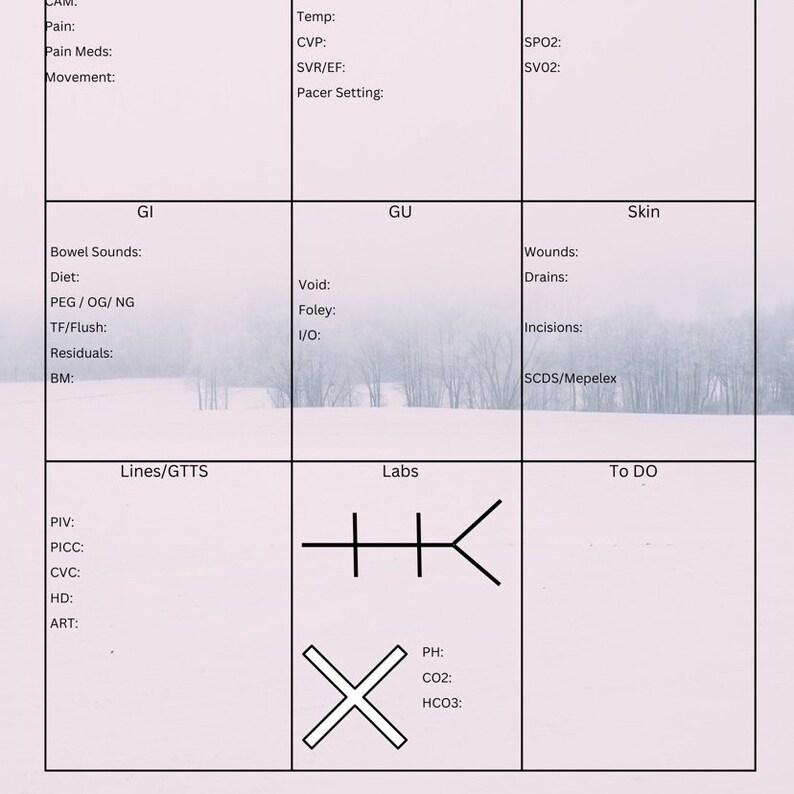 Intensive Care (icu) Report Sheet, Basic Nurse Brain. Dayshift ...