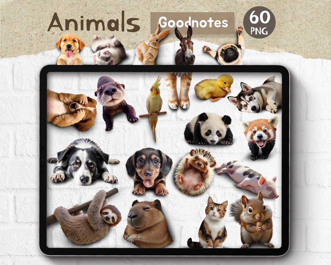 Cute Animals Realistic Digital Sticker Pet Realistic Sticker Commercial ...