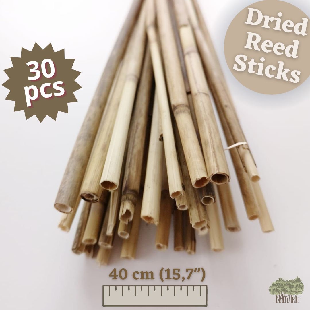 Reed Straws Dried Natural Reed Sticks Natural Reed Stalks Reed Straws ...