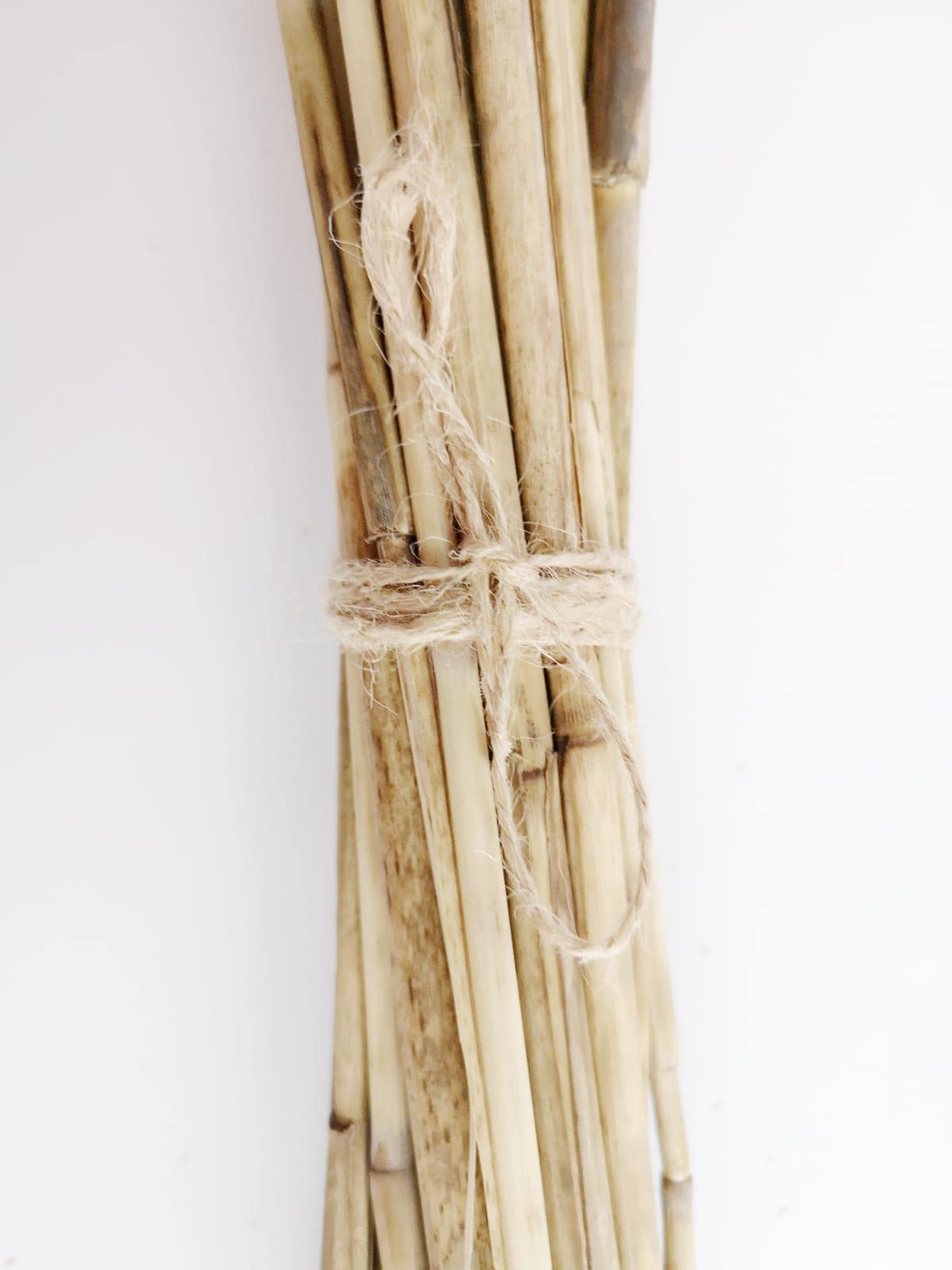 Reed Straws Set of 30 Dried Natural Reed Sticks Natural Reed Stalks ...