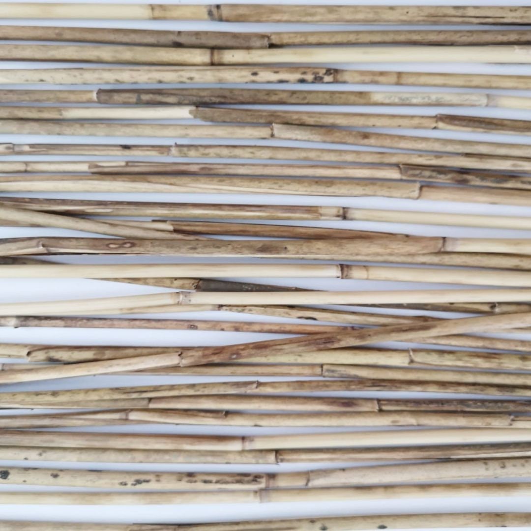 Reed Straws Set of 30 Dried Natural Reed Sticks Natural Reed Stalks ...