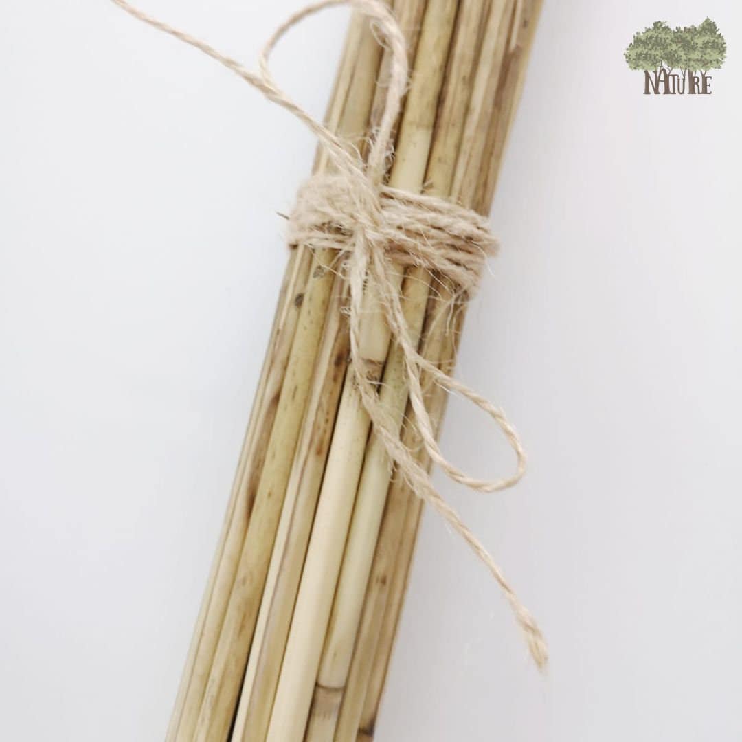 Reed Straws Set of 30 Dried Natural Reed Sticks Natural Reed Stalks ...