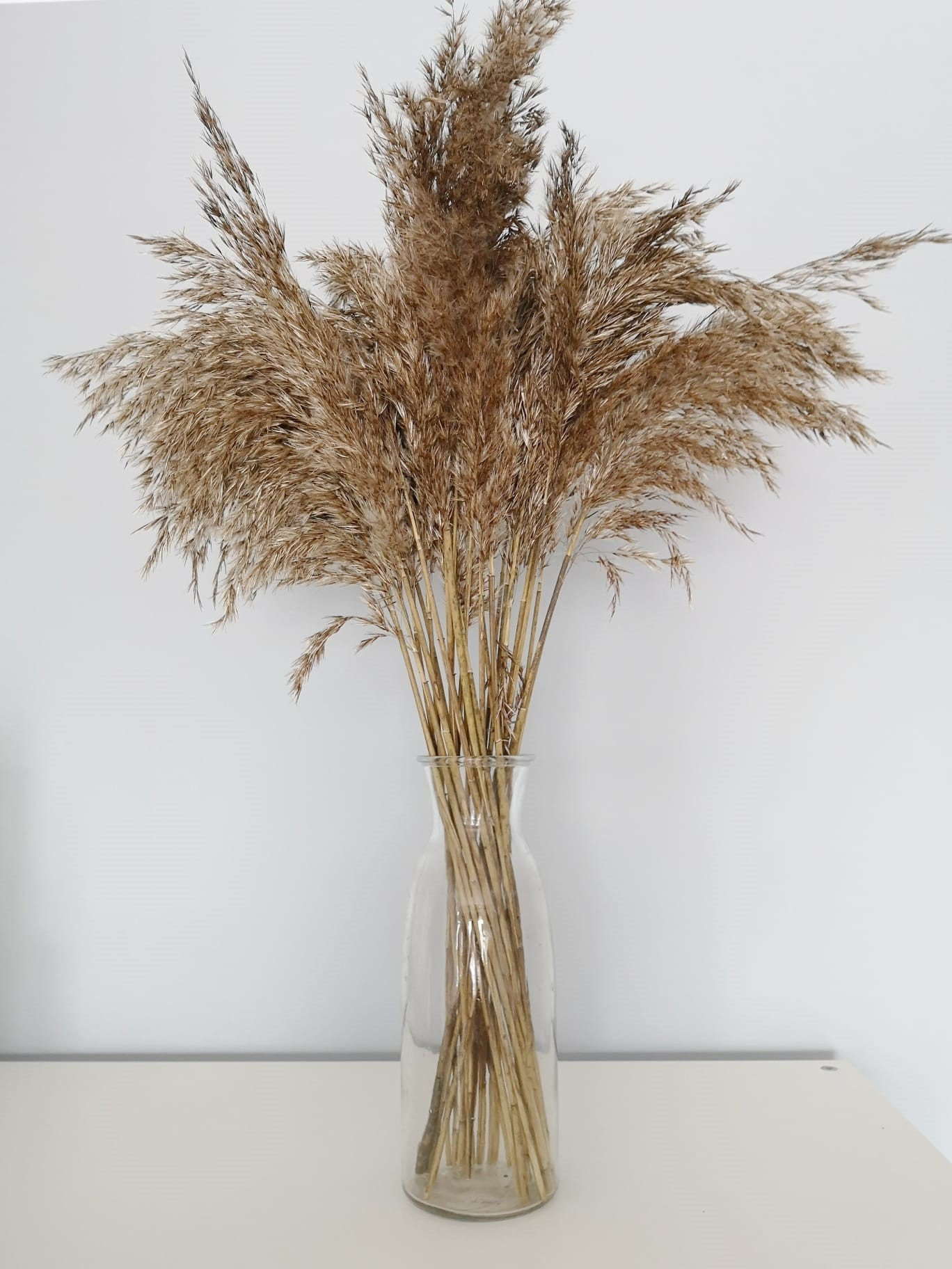Dried Pampas Grass Bouquet Dried Reed Sticks 60 Cm (23.6 Inch) 30 Pcs ...