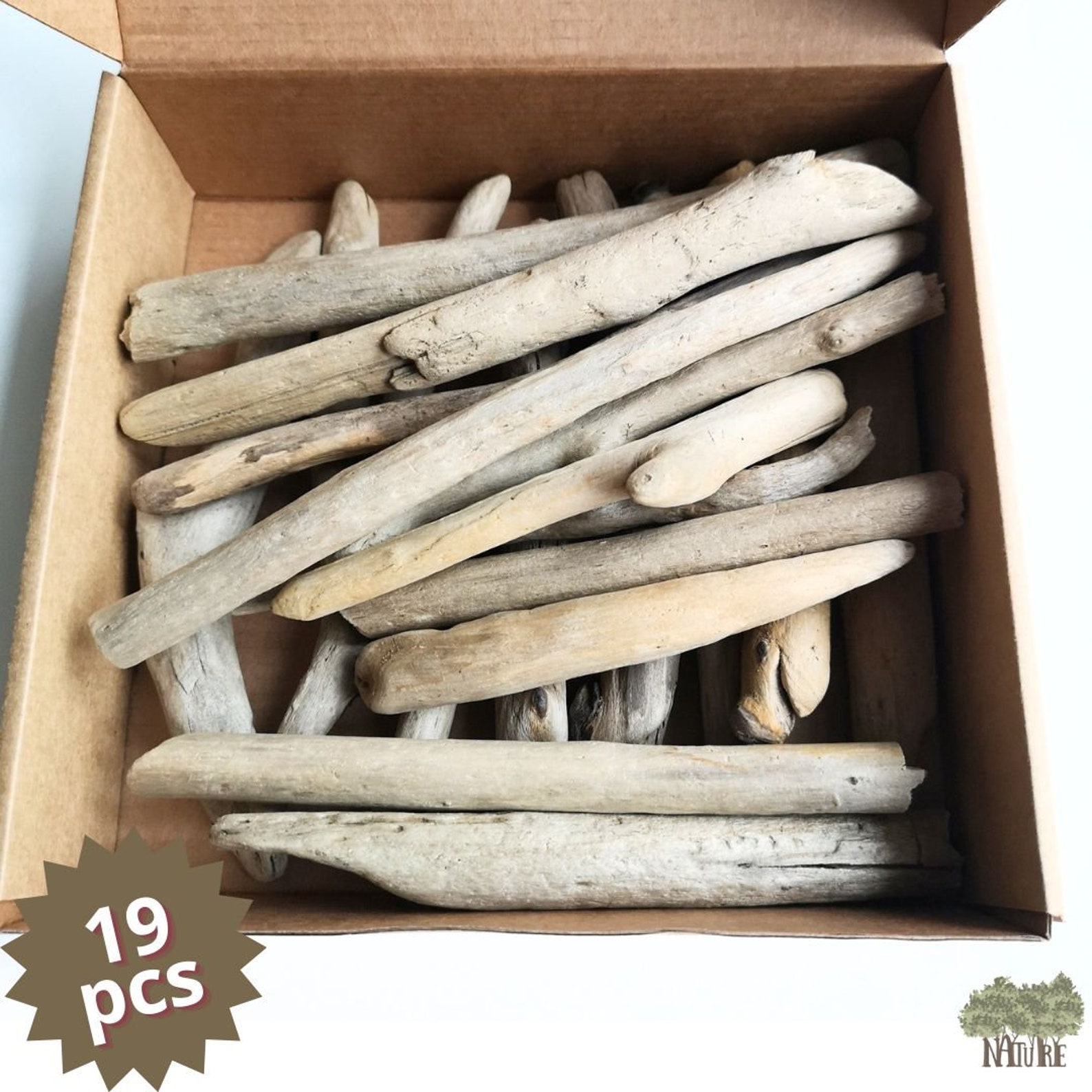 Driftwood Set of 19 Pcs From Baltic Sea Handpicked Driftwood Collection ...