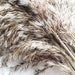 Dried Pampas Grass Bouquet Dried Reed Sticks 60 Cm 23.6 Inch 30 Pcs ...
