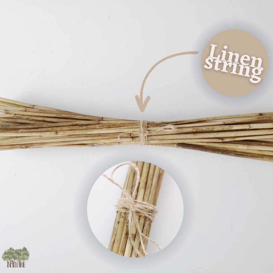 Reed Straws Set of 30 Dried Natural Reed Sticks Natural Reed Stalks ...