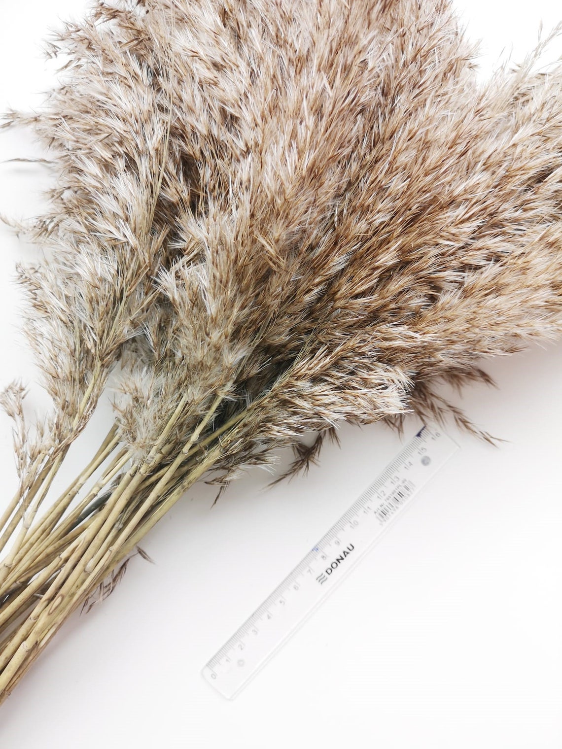 Dried Pampas Grass Bouquet Dried Reed Sticks 60 Cm (23.6 Inch) 30 Pcs ...