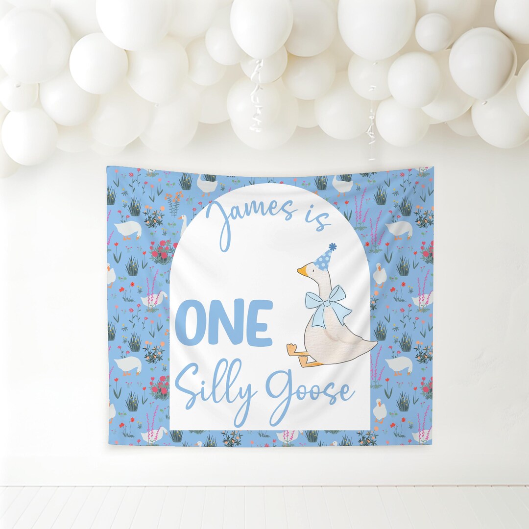 One Silly Goose Birthday Backdrop, One Silly Goose Custom Banner, 1st ...