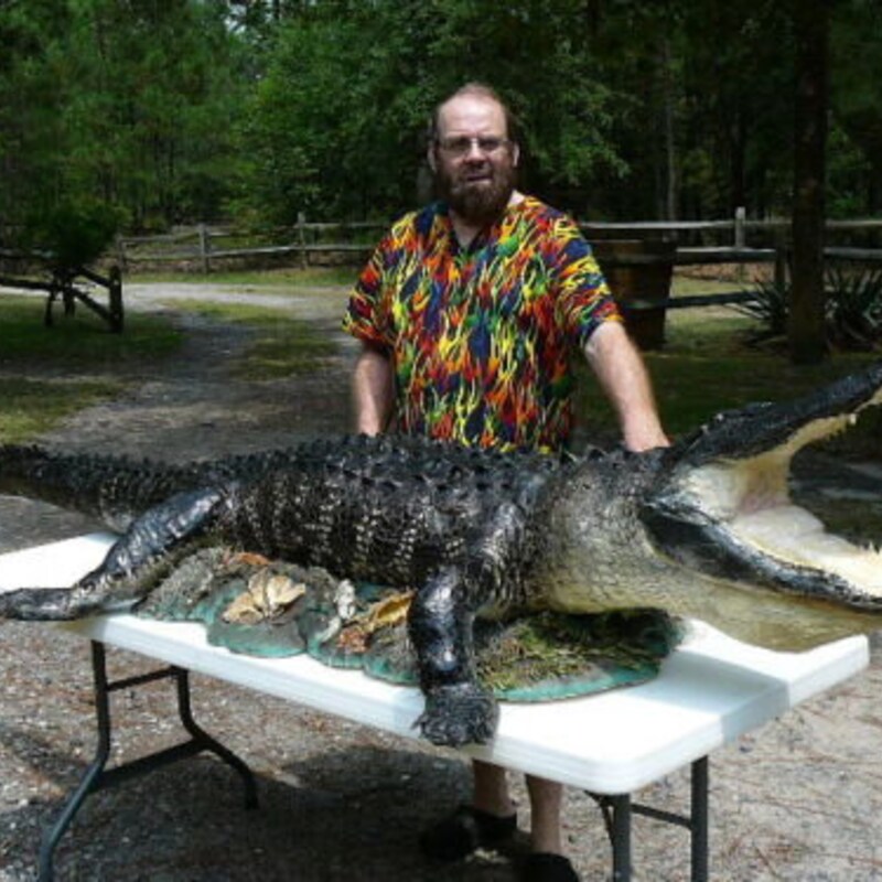 Taxidermy Alligator - Etsy