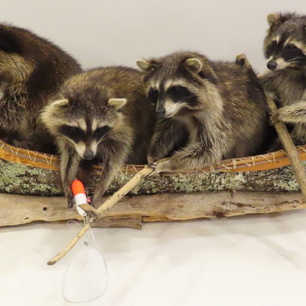Taxidermy Animal Canoe - Etsy