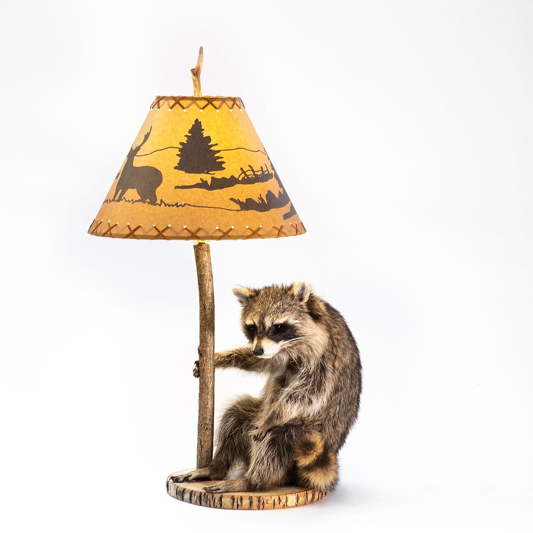 Raccoon Taxidermy With Lamp & Shade - Etsy