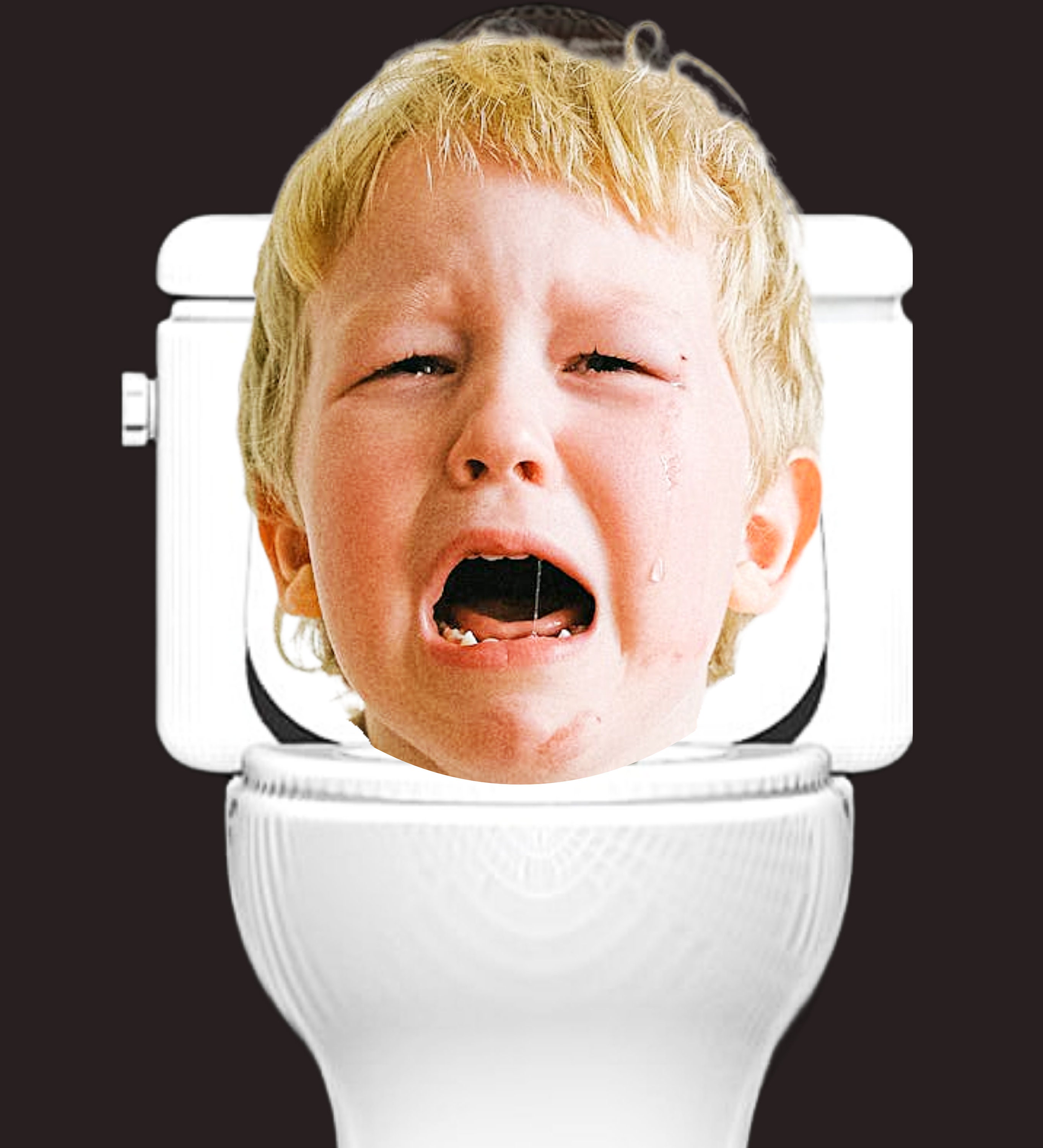 Skibidi Toilet Custom Face Design Tshirt adult - Etsy