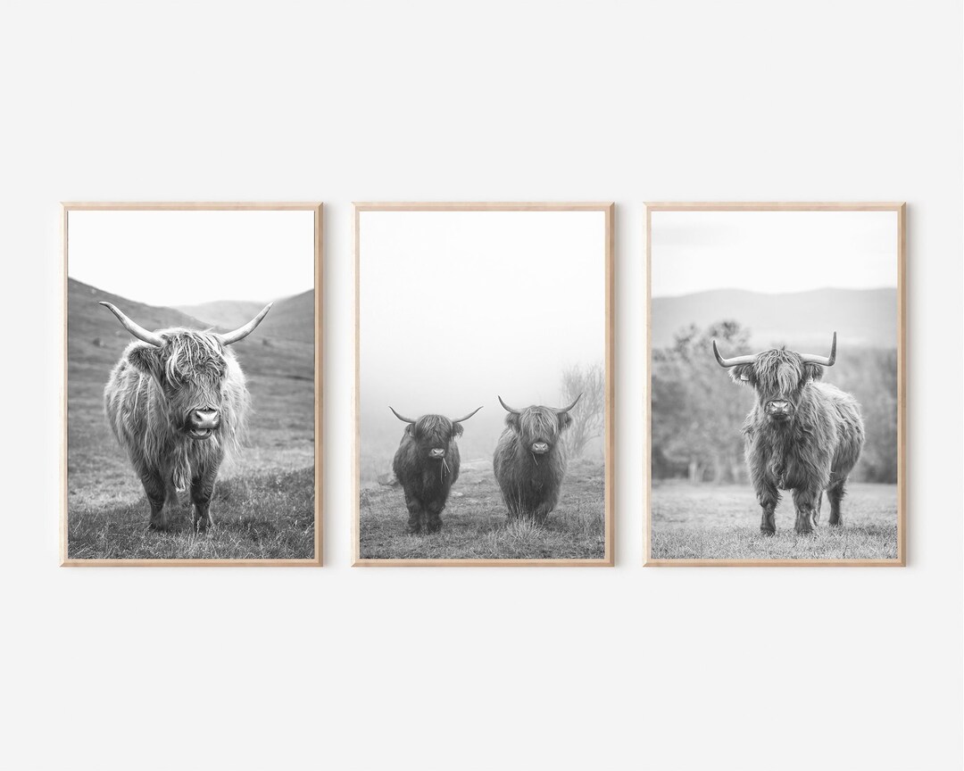 Highland Cow Prints Set: Rustic Farmhouse Decor (digital Download) - Etsy