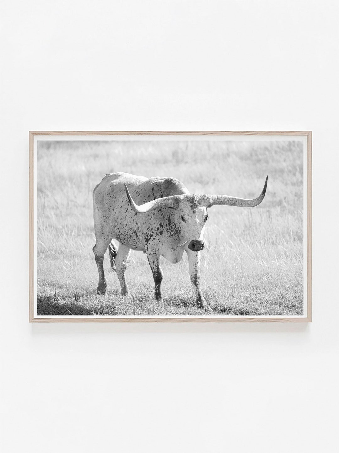 Longhorn Cow Print, Texas Longhorn Cow Black and White, Texas Wall Art ...