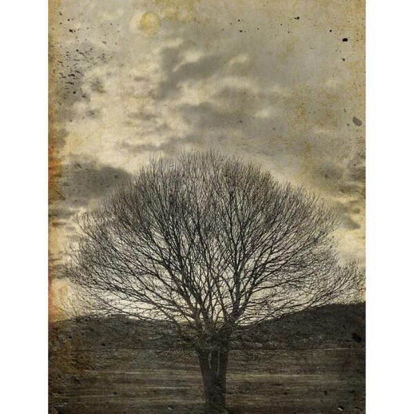 Sepia Tree - Etsy