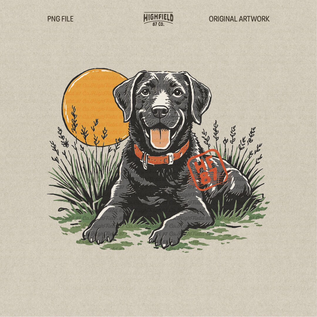 Vintage Black Lab PNG: Hunting Dog Retriever Illustration (digital ...