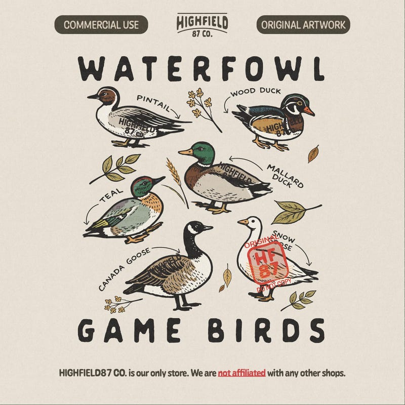 Game Fowl Stickers - Etsy