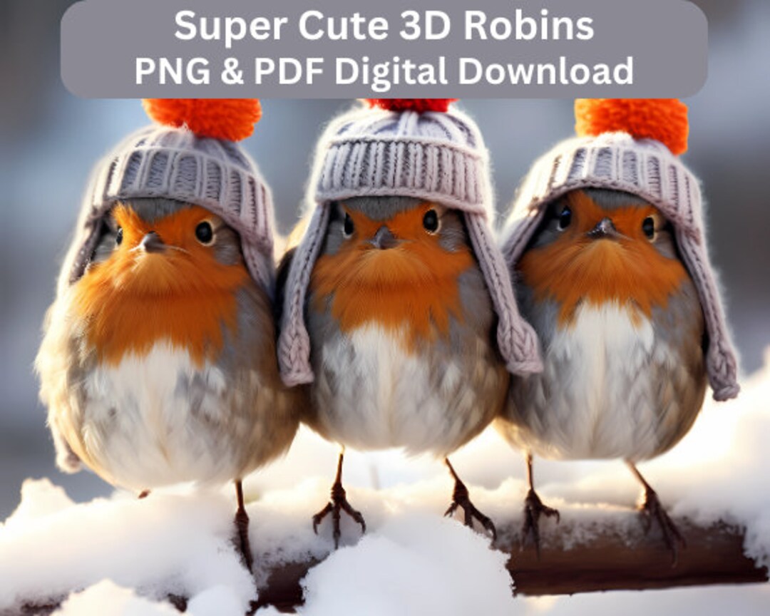 3D Cute Robins - PNG Clipart - Digital Download - PDF - Christmas ...