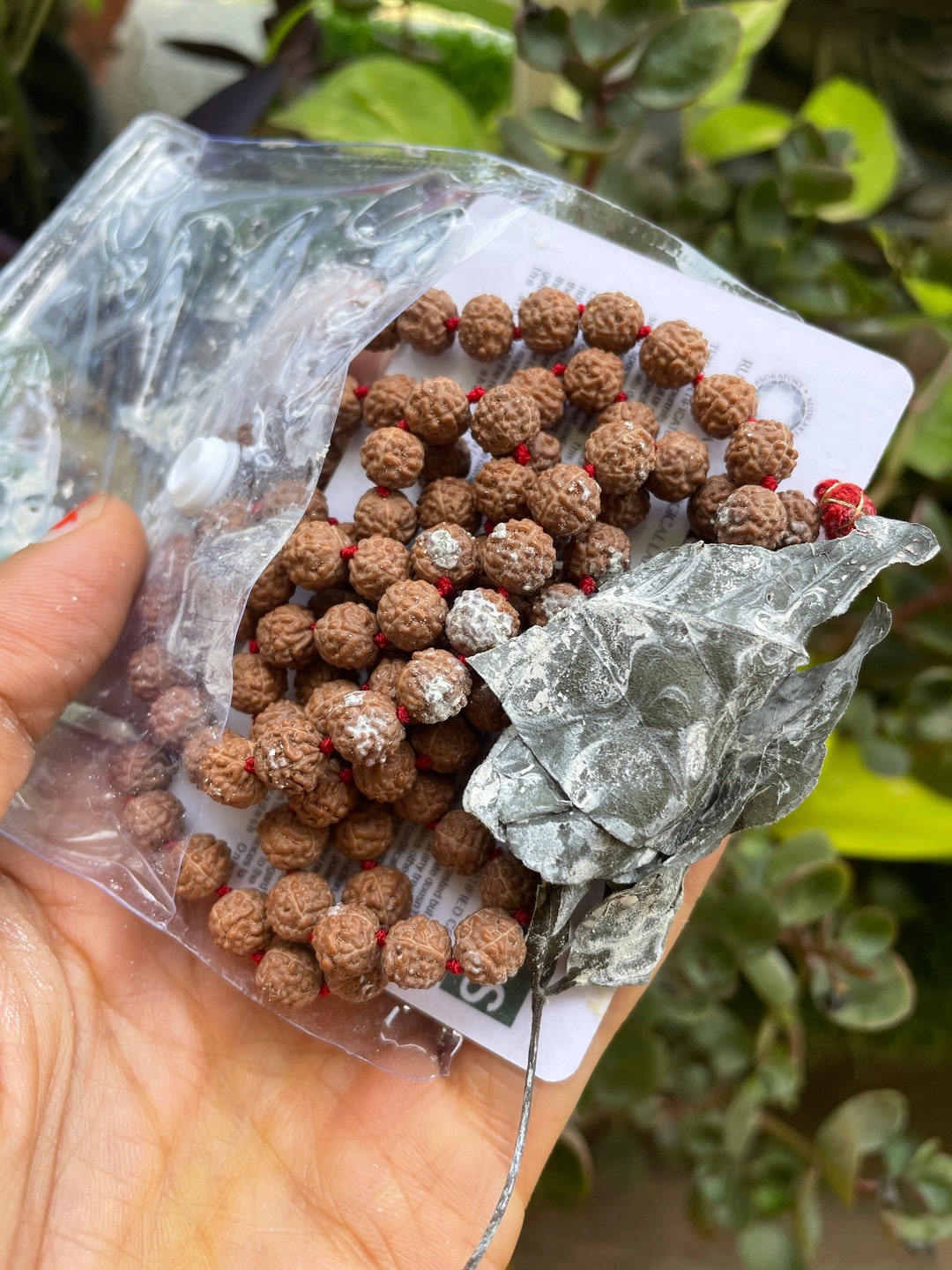 100% CERTIFIED Rudraksh Mala Blessed at Kashi Viswanath Temple - Etsy