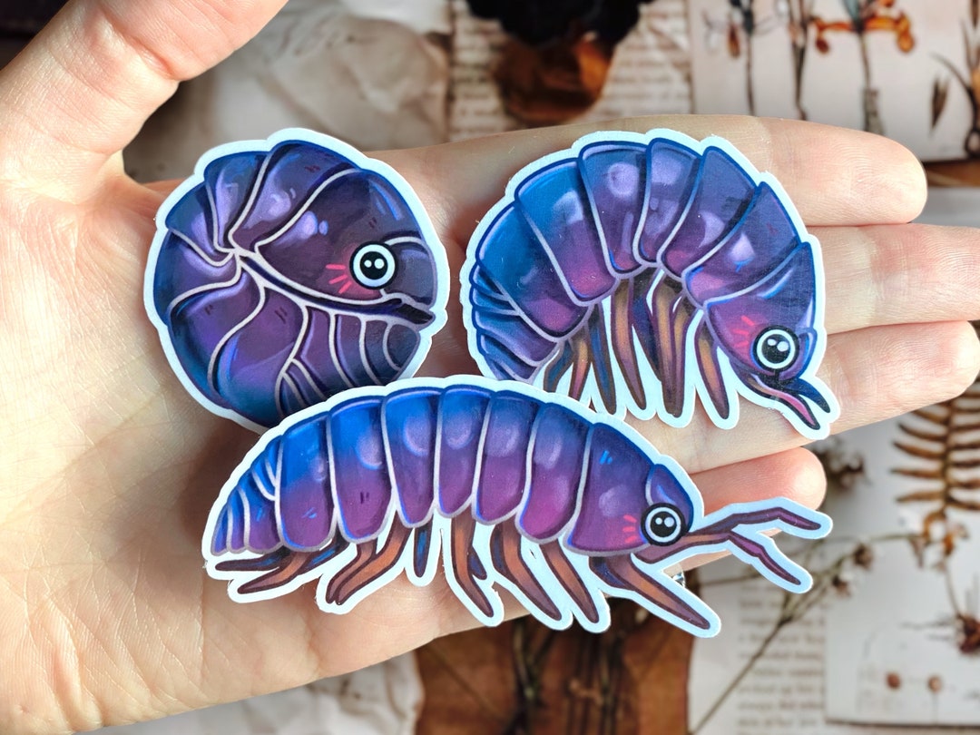 Cute Isopod Waterproof Sticker Set - Etsy