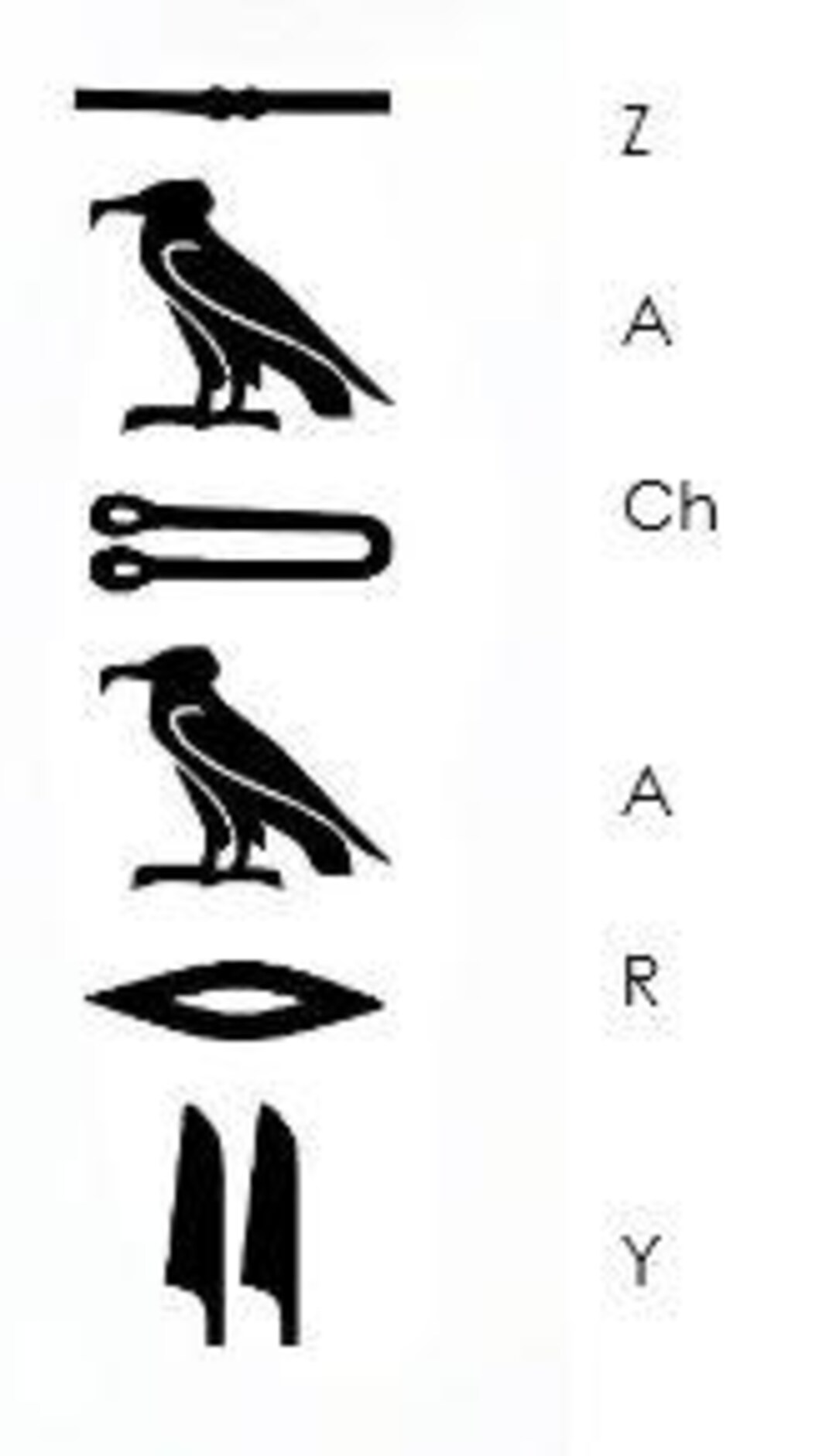 Custom Hieroglyphics Digital File Hieroglyphs for Download Word of ...