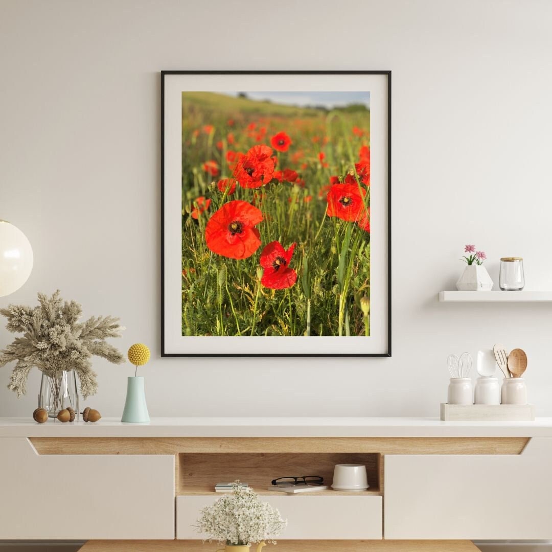 Digital Download Beautiful Nature Photography Poppy Fields in Kent ...