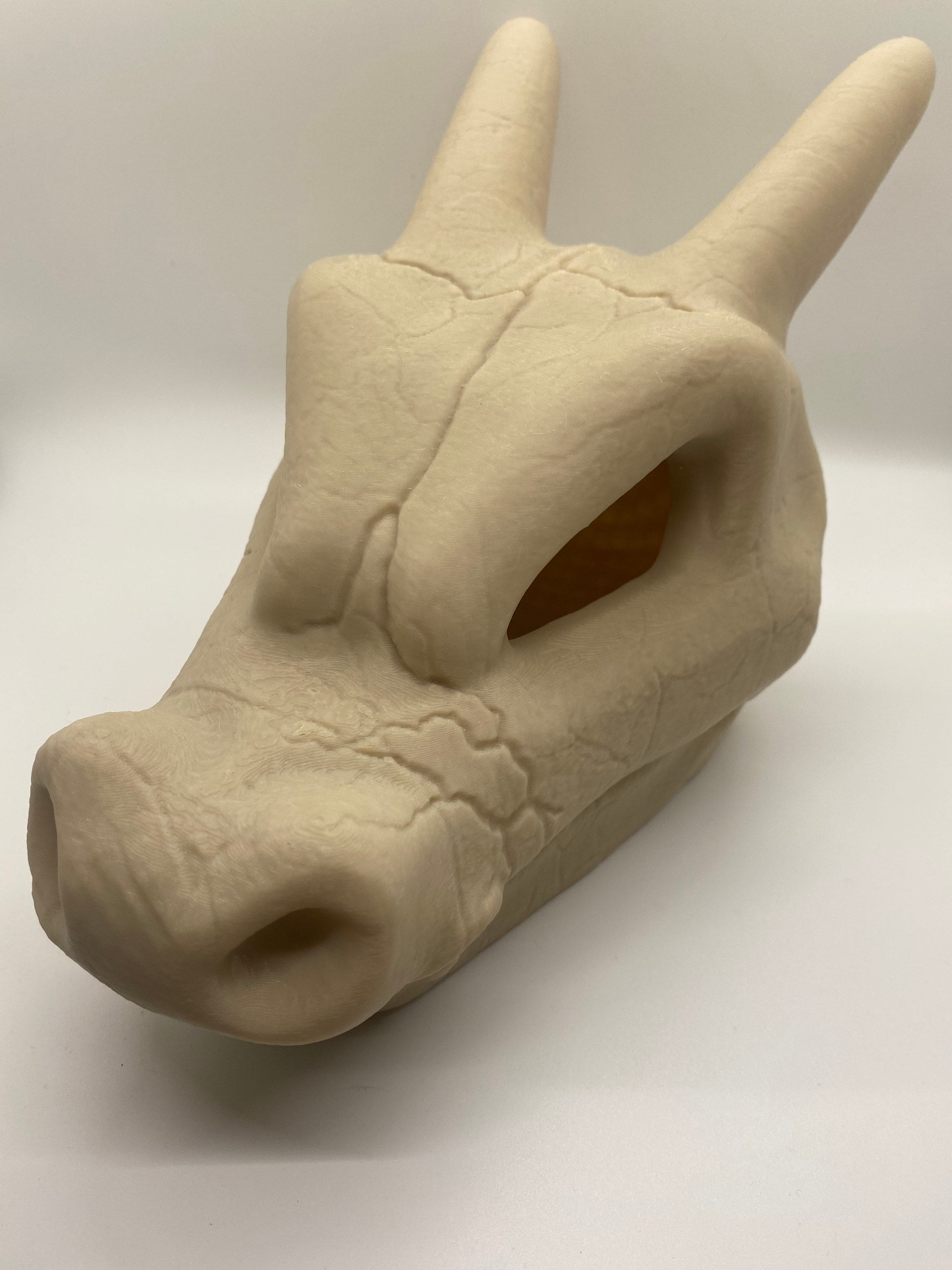 9” Charizard Skull - Etsy