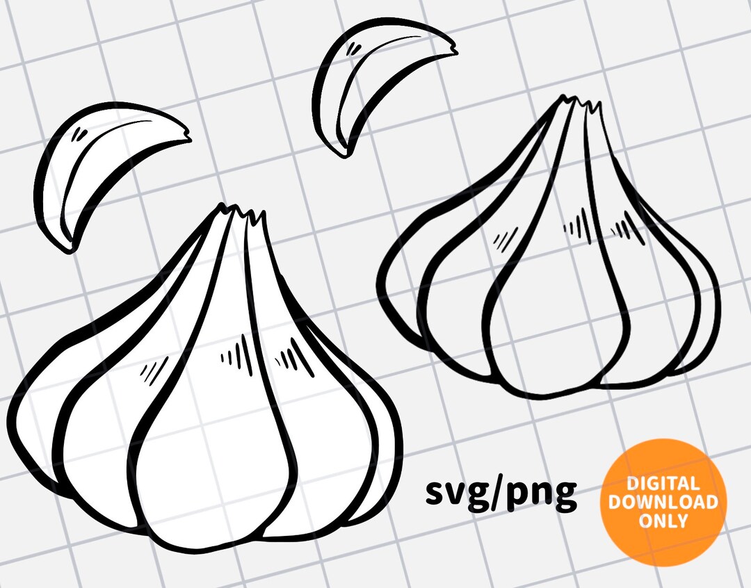 Garlic Svg Png Digital Illustration, Cut File, Garlic Clipart - Etsy