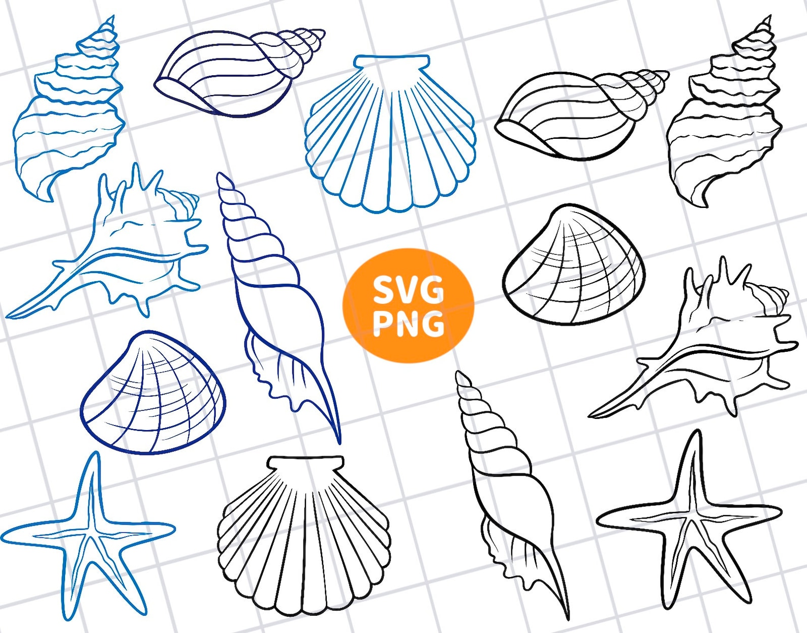 Shell Line Art Digital Clipart, Shell Line Drawing, Shell Svg, Shell ...