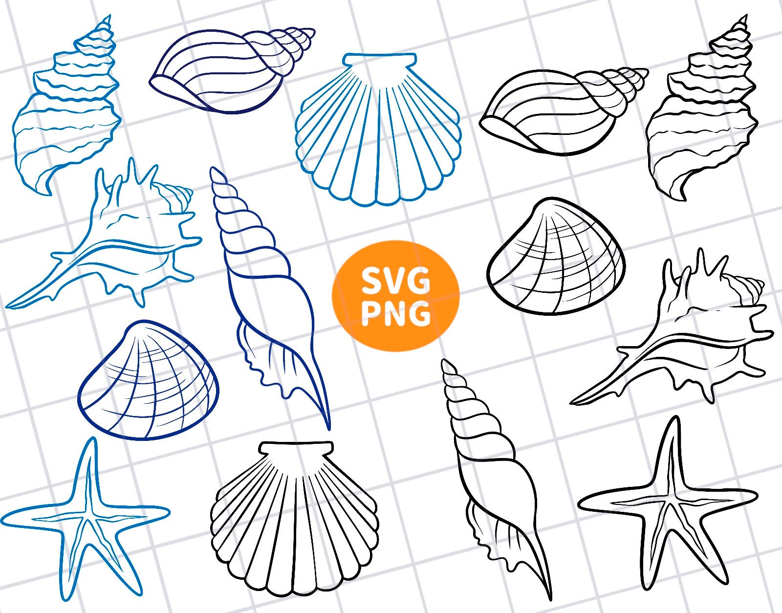 Shell Line Art Digital Clipart, Shell Line Drawing, Shell Svg, Shell ...