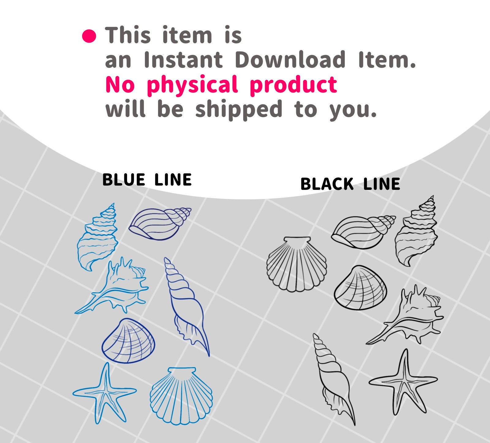 Shell Line Art Digital Clipart, Shell Line Drawing, Shell Svg, Shell ...