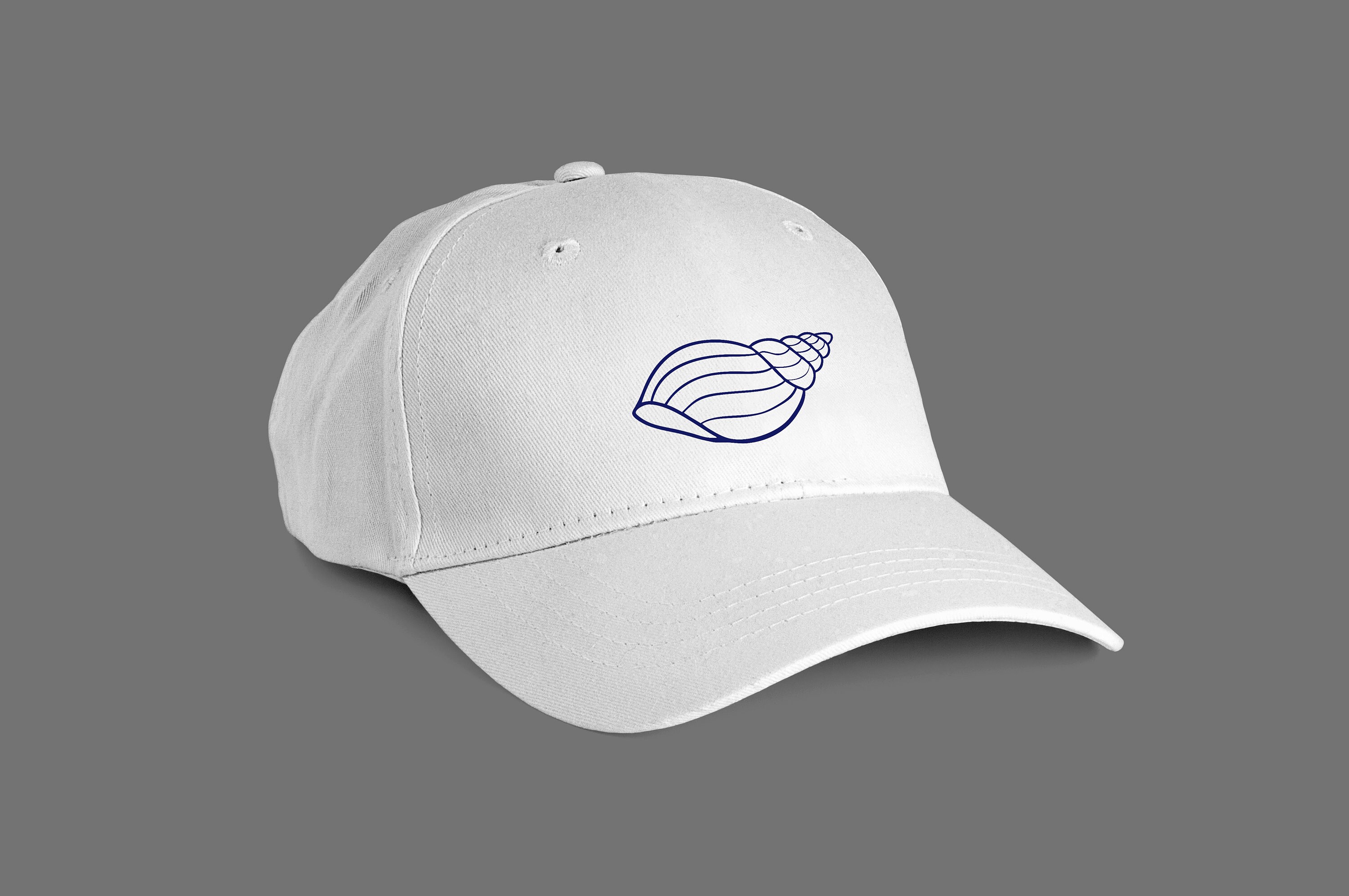 Shell Line Art Digital Clipart, Shell Line Drawing, Shell Svg, Shell ...