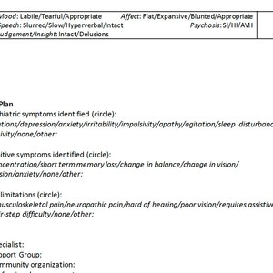 Cognitive Assessment SOAP Note, Digital Download - Etsy