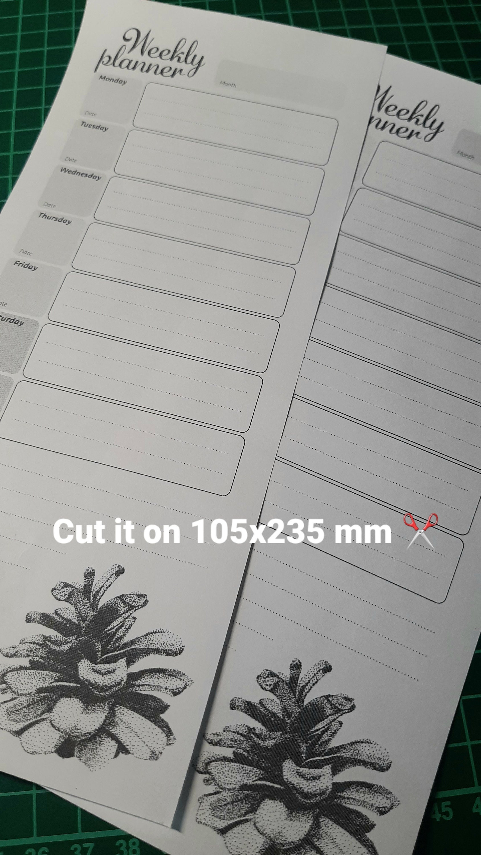 Weekly Planner Printable cones, Digital Download - Etsy