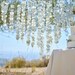 Sage Hanging Paper Tissue Backdrop, Botanical Wedding, Sage Backdrop ...