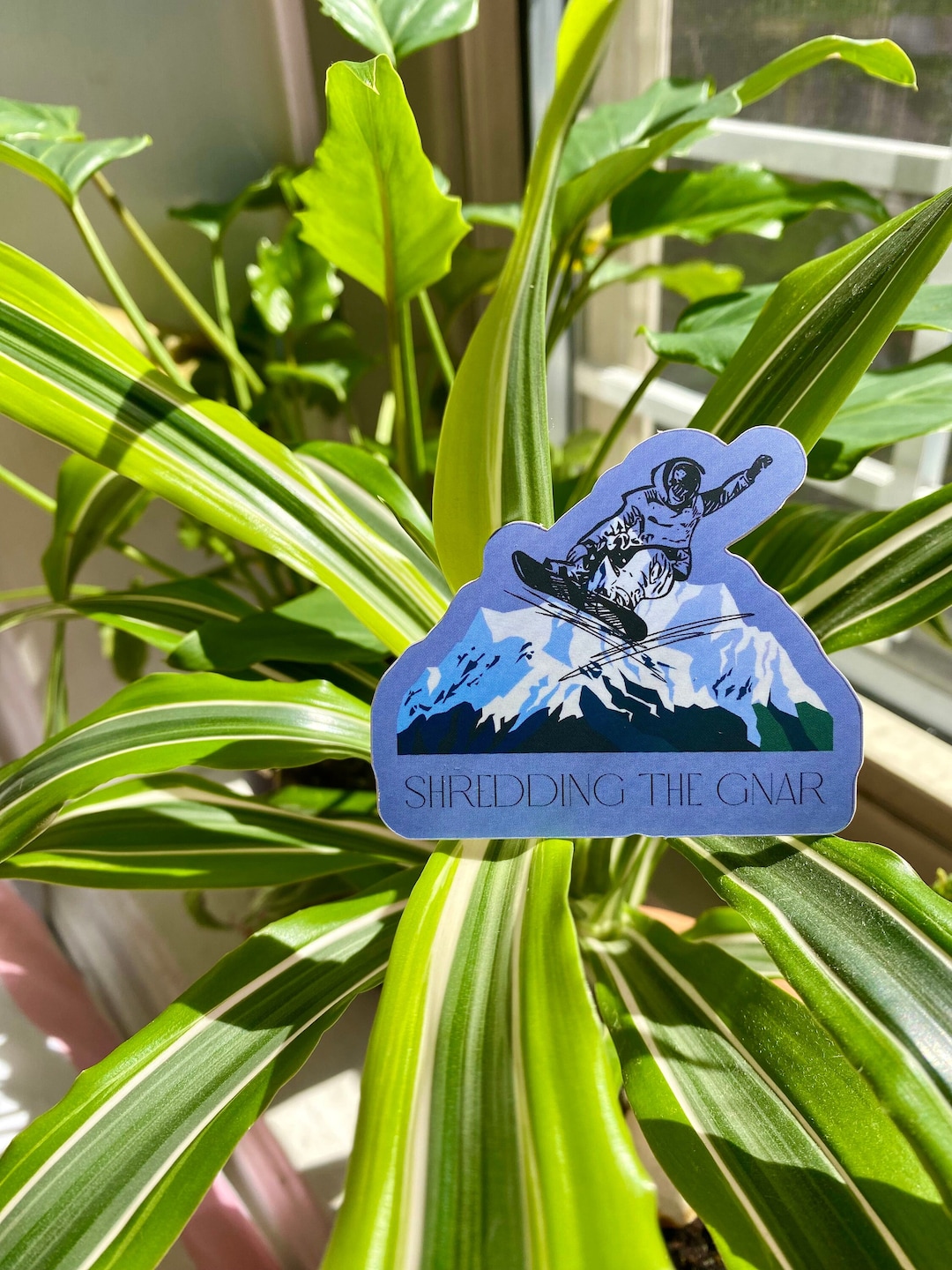 Shredding the Gnar Vinyl Sticker - Etsy