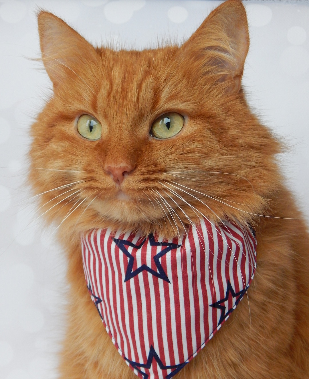 Cat Collar Bandana, Star Cat Bandana - Etsy