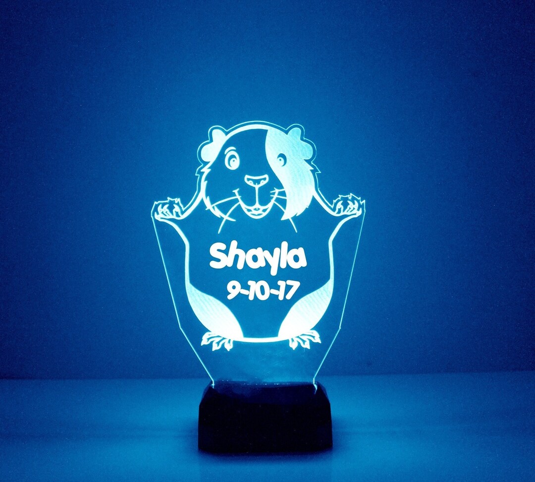 Hamster Light Up, Personalized Kid's Gift, 16 Color LED Night Light ...