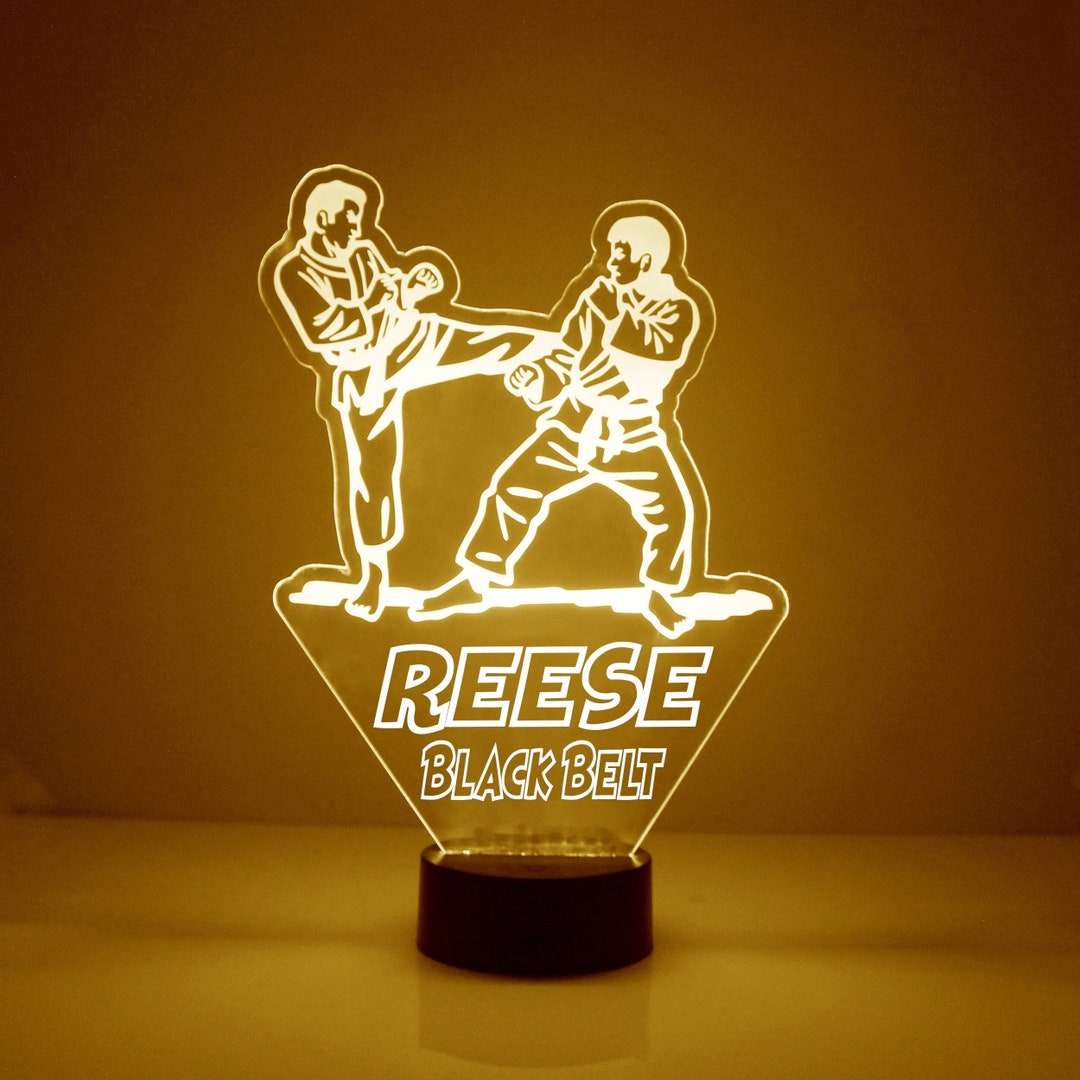 Light up Your Inner Warrior: Karate LED Night Lamp, 16 Color Changing ...