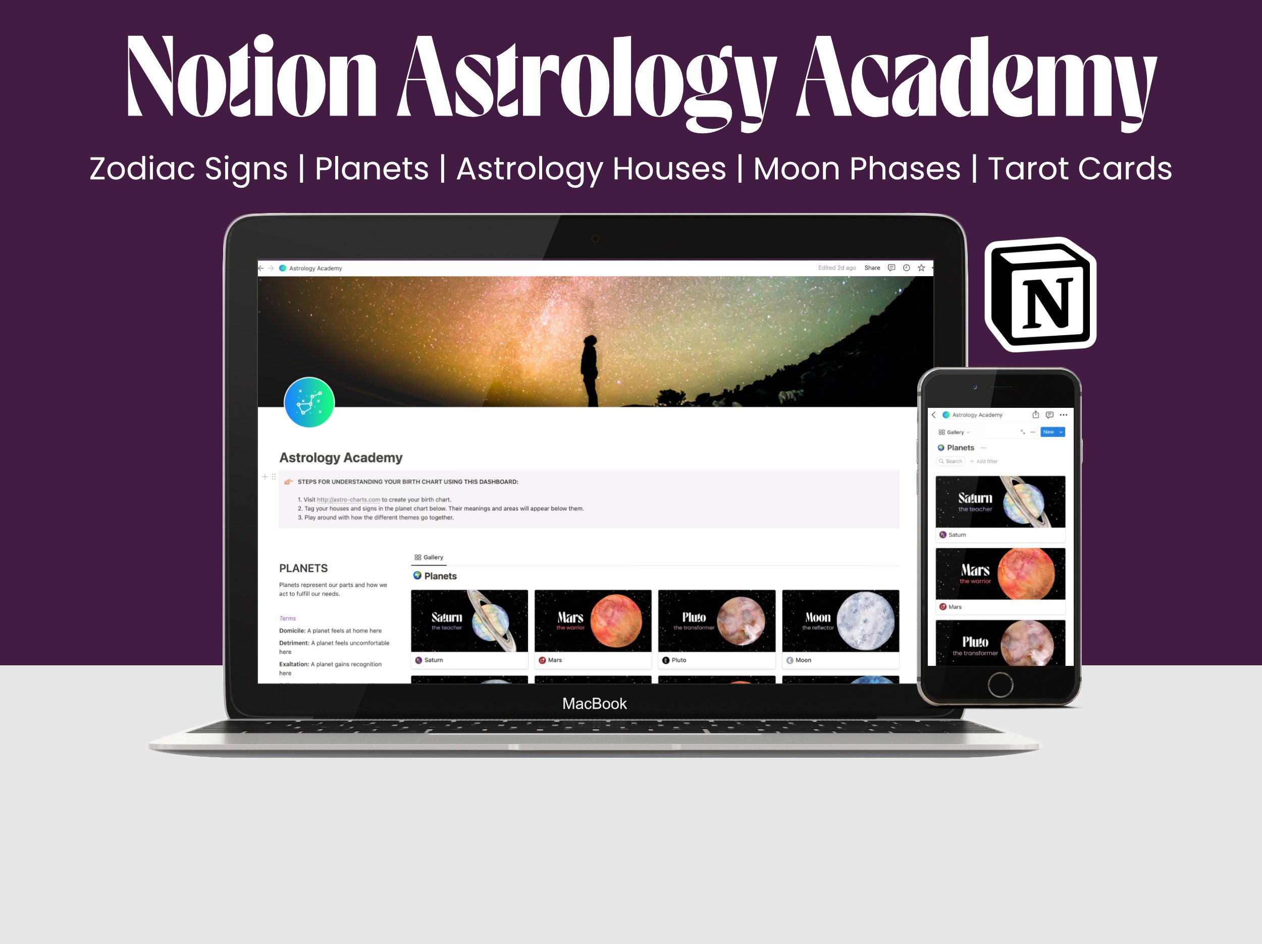 Notion Astrology Academy Template - Etsy