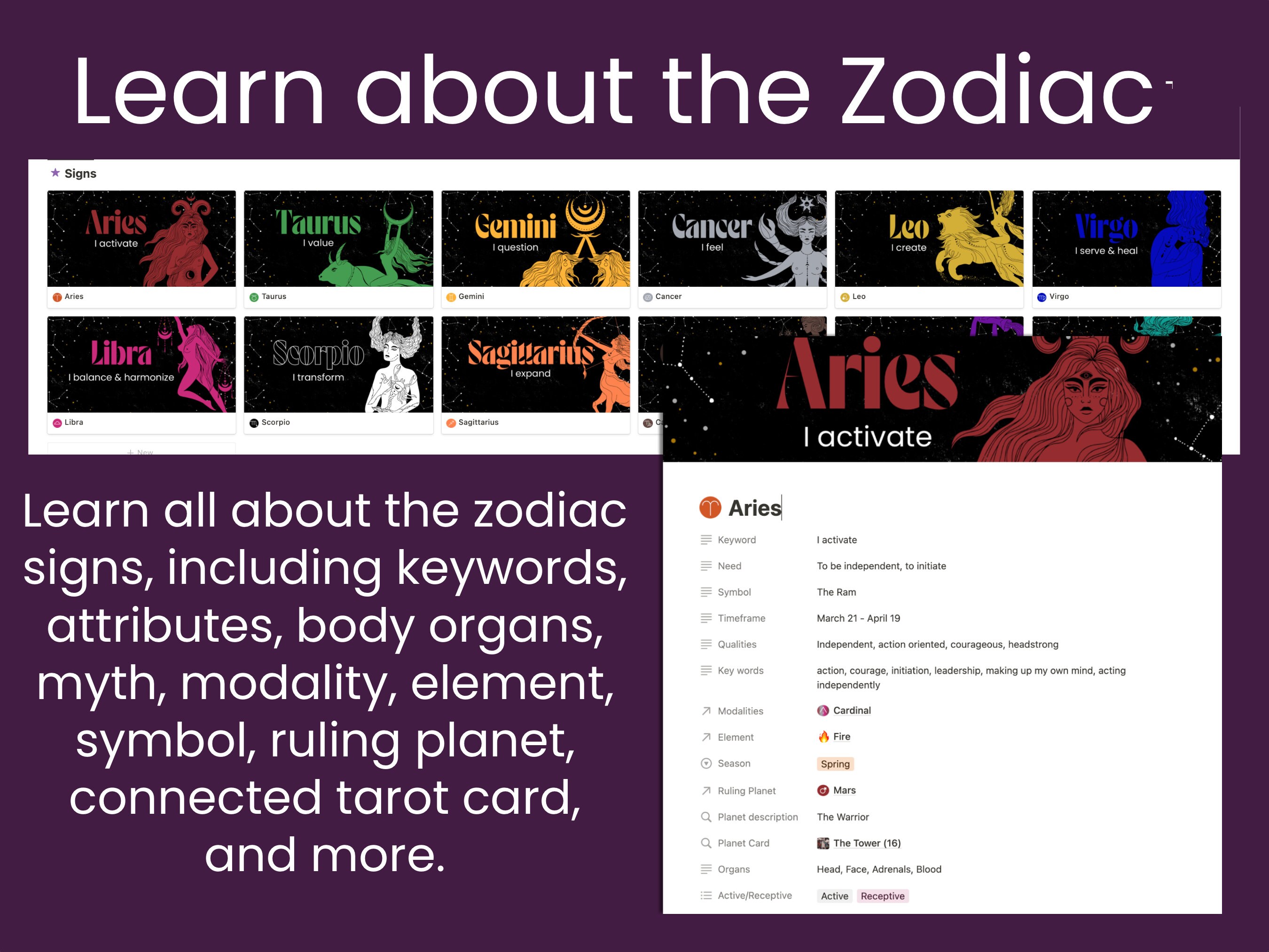 Notion Astrology Academy Template - Etsy